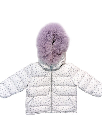 Pamplemousse - Pumpkin and Bean