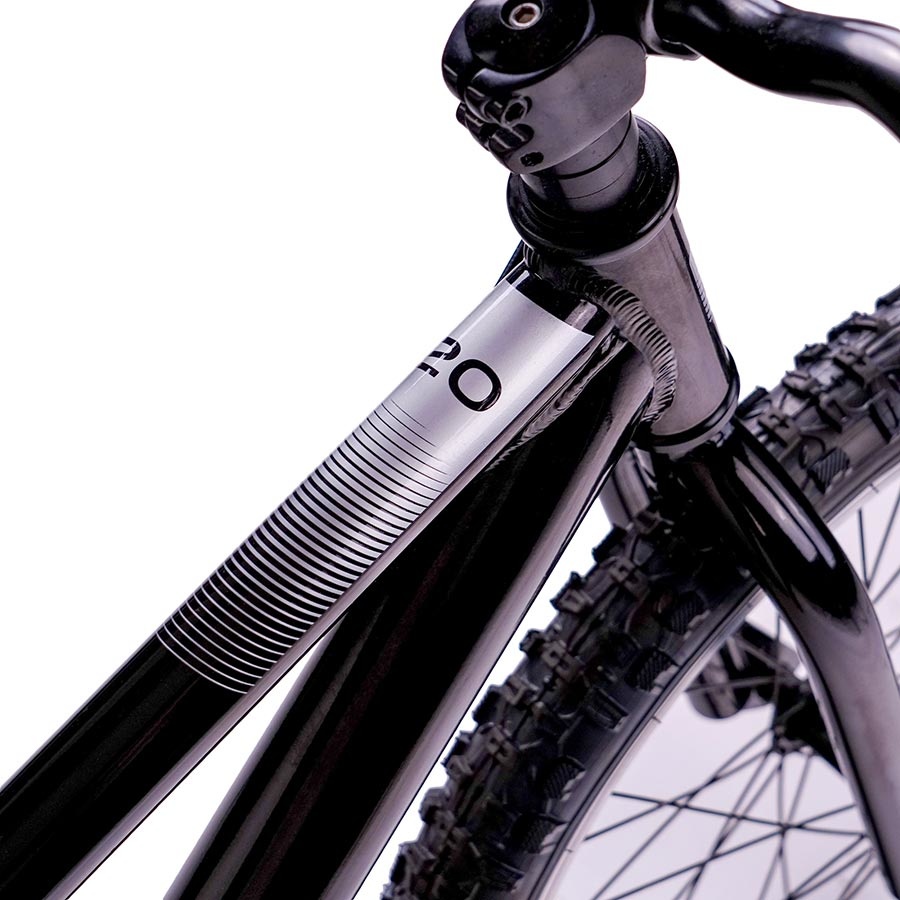 EVO Rock Ridge 20 1-Speed Kids Bike - Sports aux Puces St-Jean