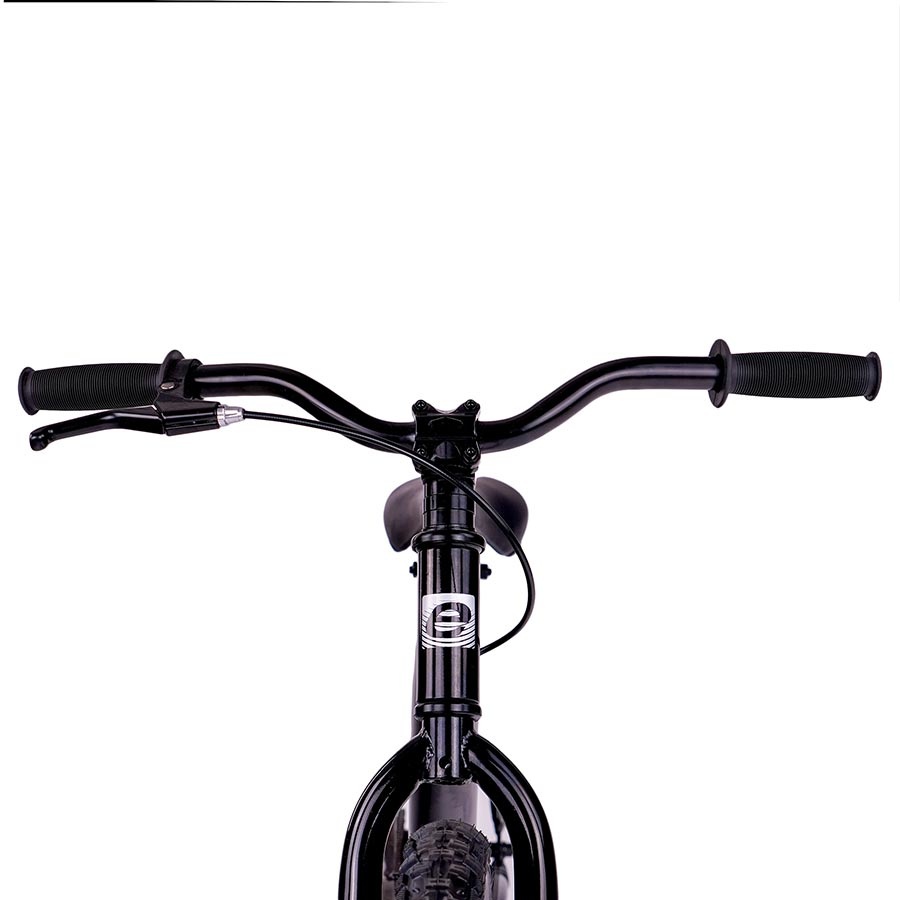 EVO Vélo pour enfant 1 vitesse Rock Ridge 20 - Sports aux Puces St-Jean