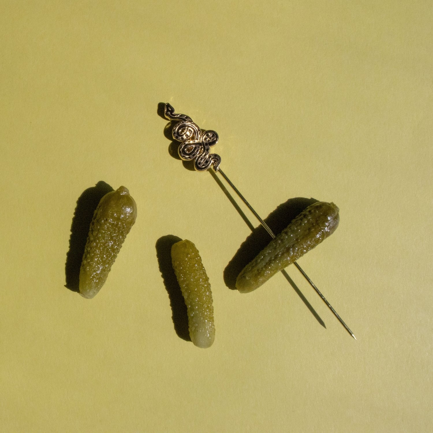 Snake Cocktail Picks 4 Pack - The Modern Bartender | Buy Online Bar ...