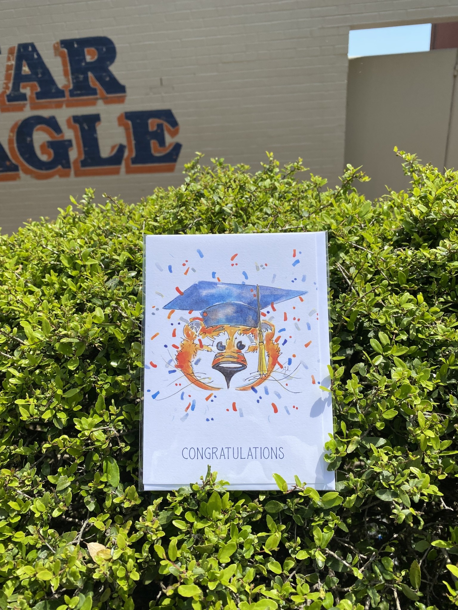 Art by LJD Aubie Graduation Card - J&M Bookstore Downtown
