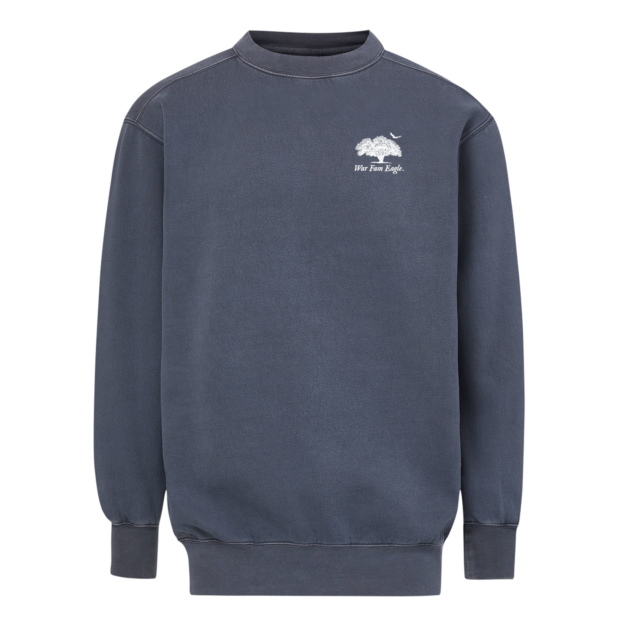 MV Sport War Fam Eagle Coastal Color Crew - J&M Bookstore Downtown