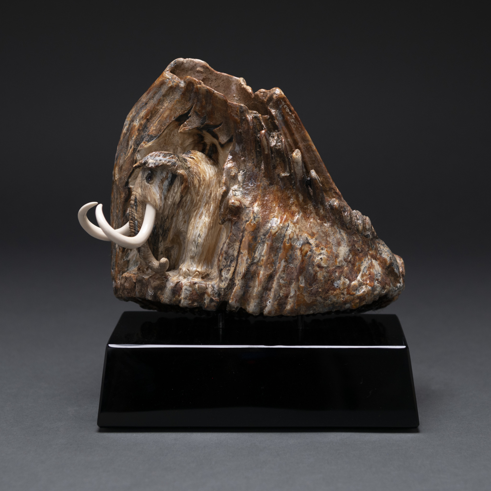 Re-emerging Mammoth (Fossil Mammoth Molar) #582 - Fossil & Stone