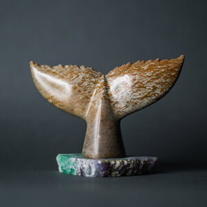 Whales - Fossil & Stone