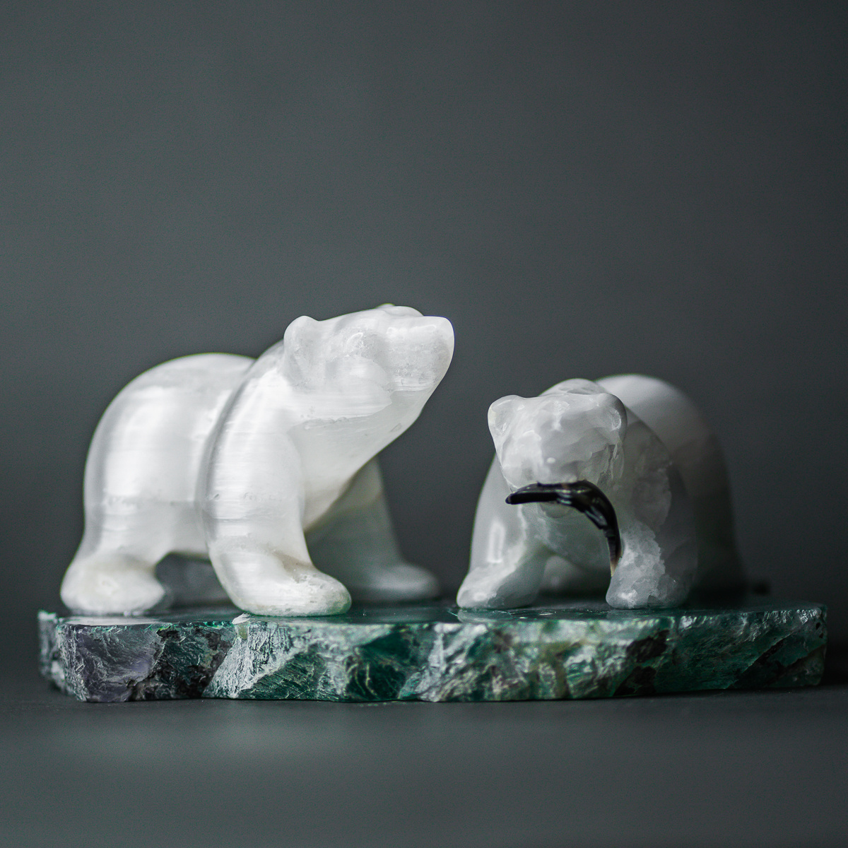 Bear Couple #038 - Fossil & Stone