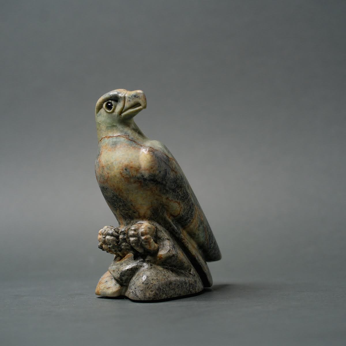 Eagle #113 - Fossil & Stone