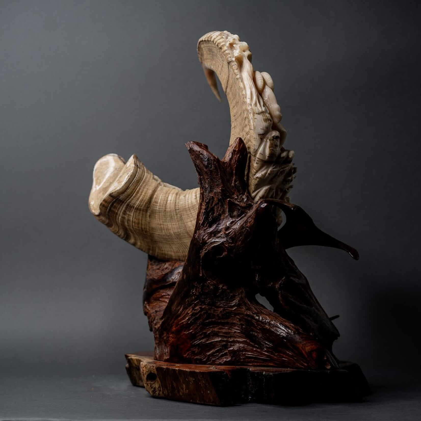 Alaska Dall Sheep & Raven #168 - Fossil & Stone