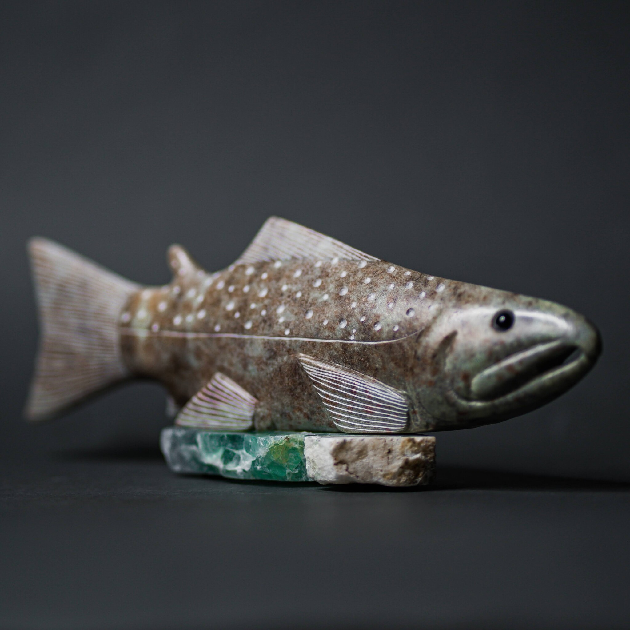 Salmon #045 - Fossil & Stone