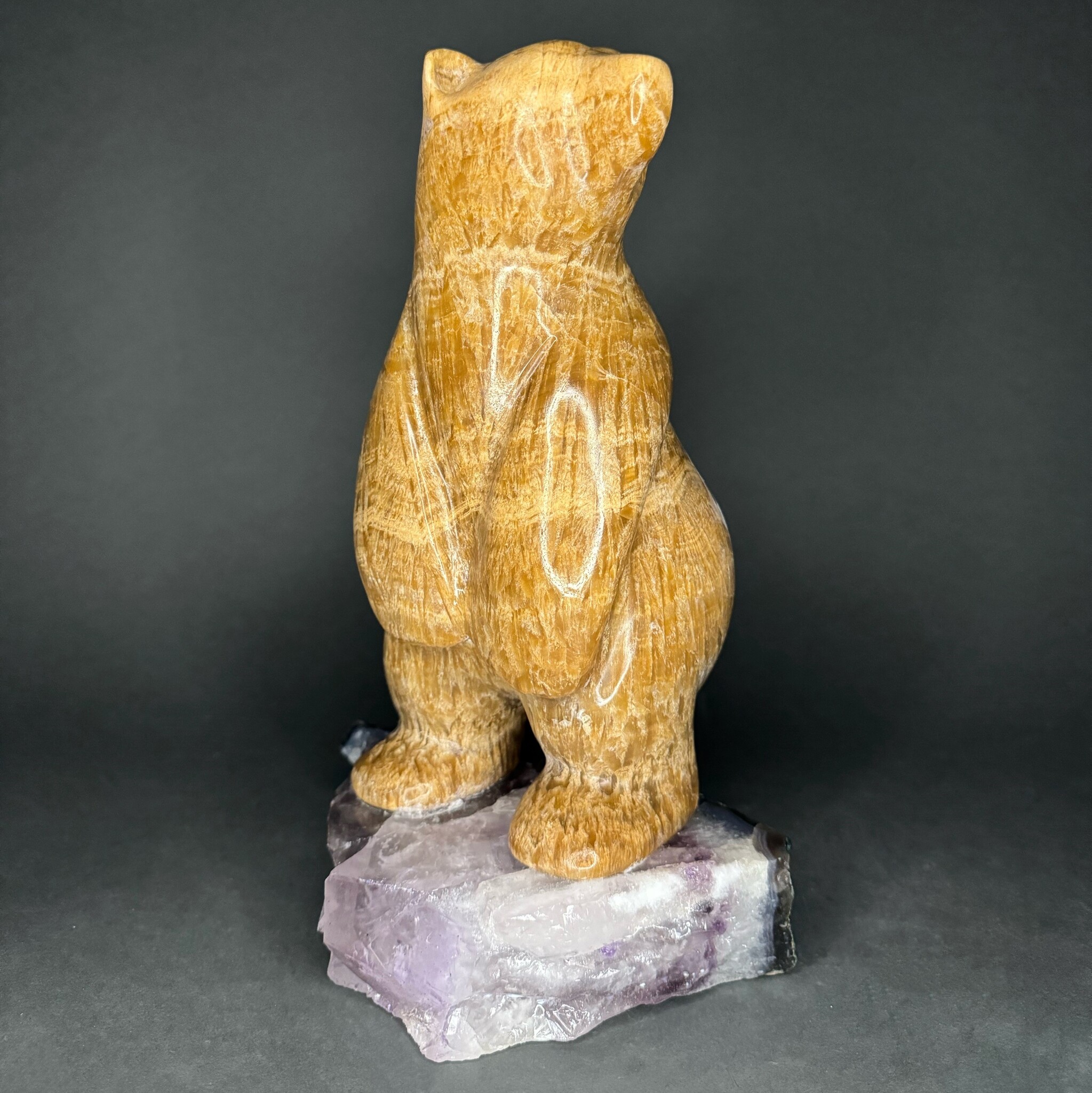 Standing Bear #141 - Fossil & Stone
