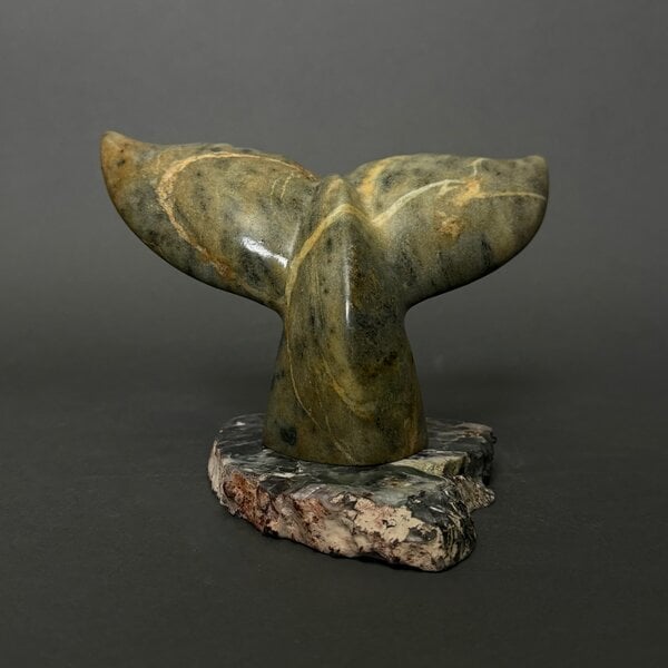 Whales - Fossil & Stone