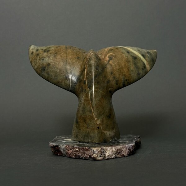 Whales - Fossil & Stone