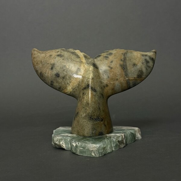 Whales - Fossil & Stone