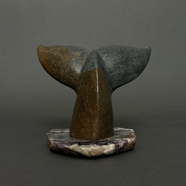 Whales - Fossil & Stone