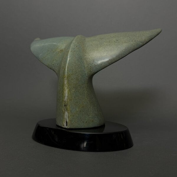 Whales - Fossil & Stone