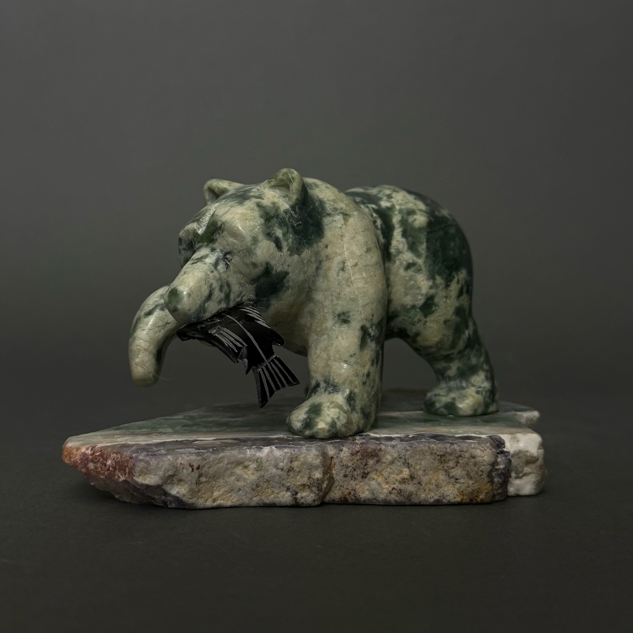 Hungry Bear #211 - Fossil & Stone