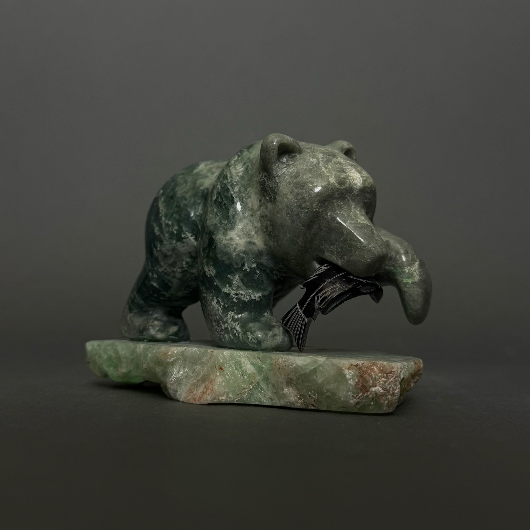 Hungry Bear #215 - Fossil & Stone