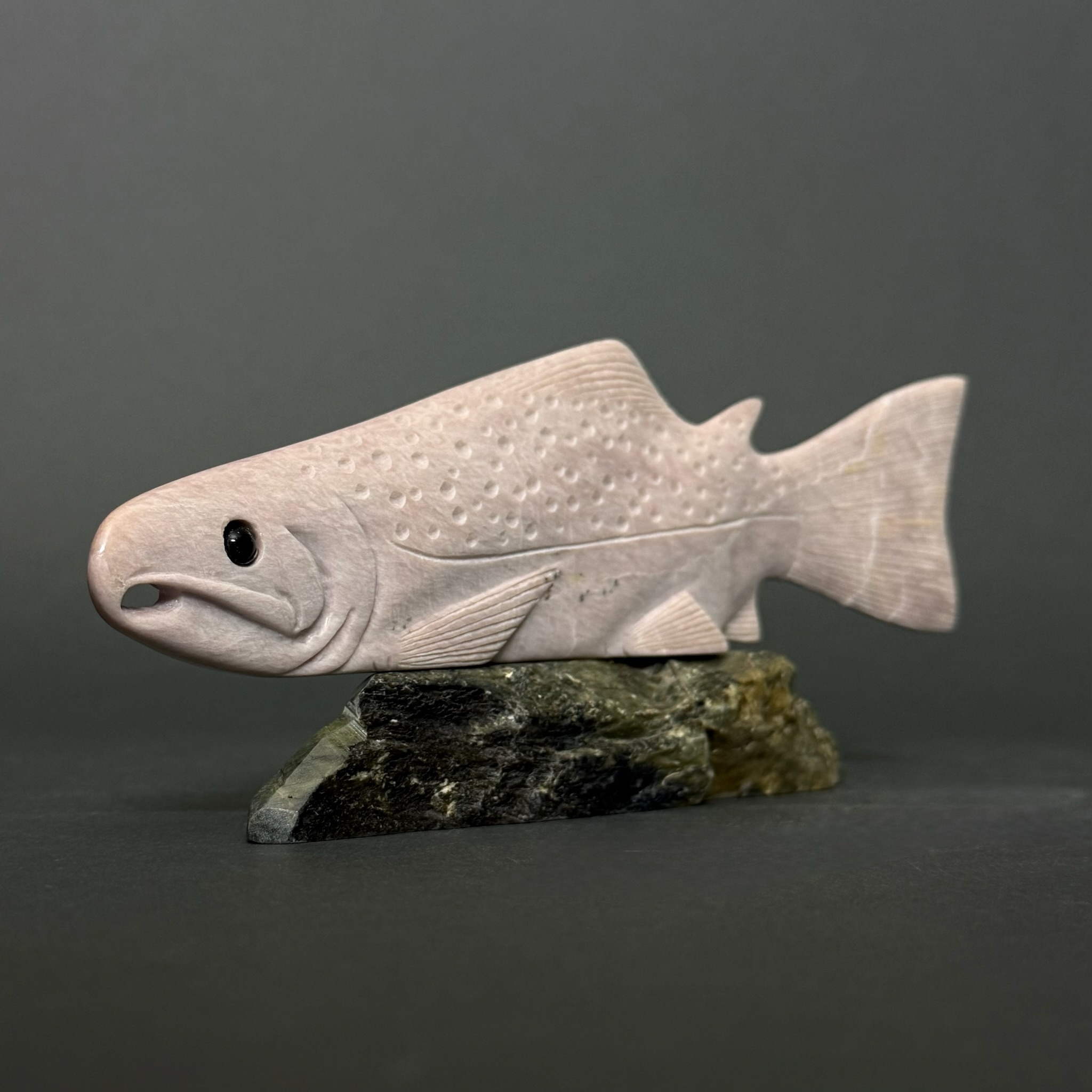 Salmon #217 - Fossil & Stone