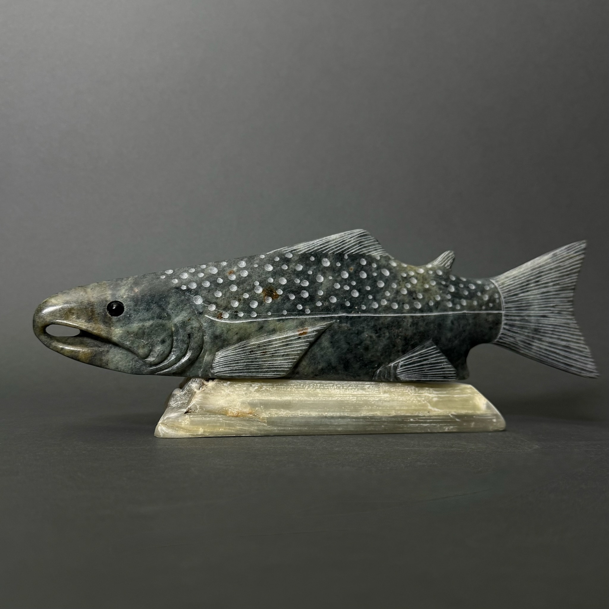 Salmon #221 - Fossil & Stone