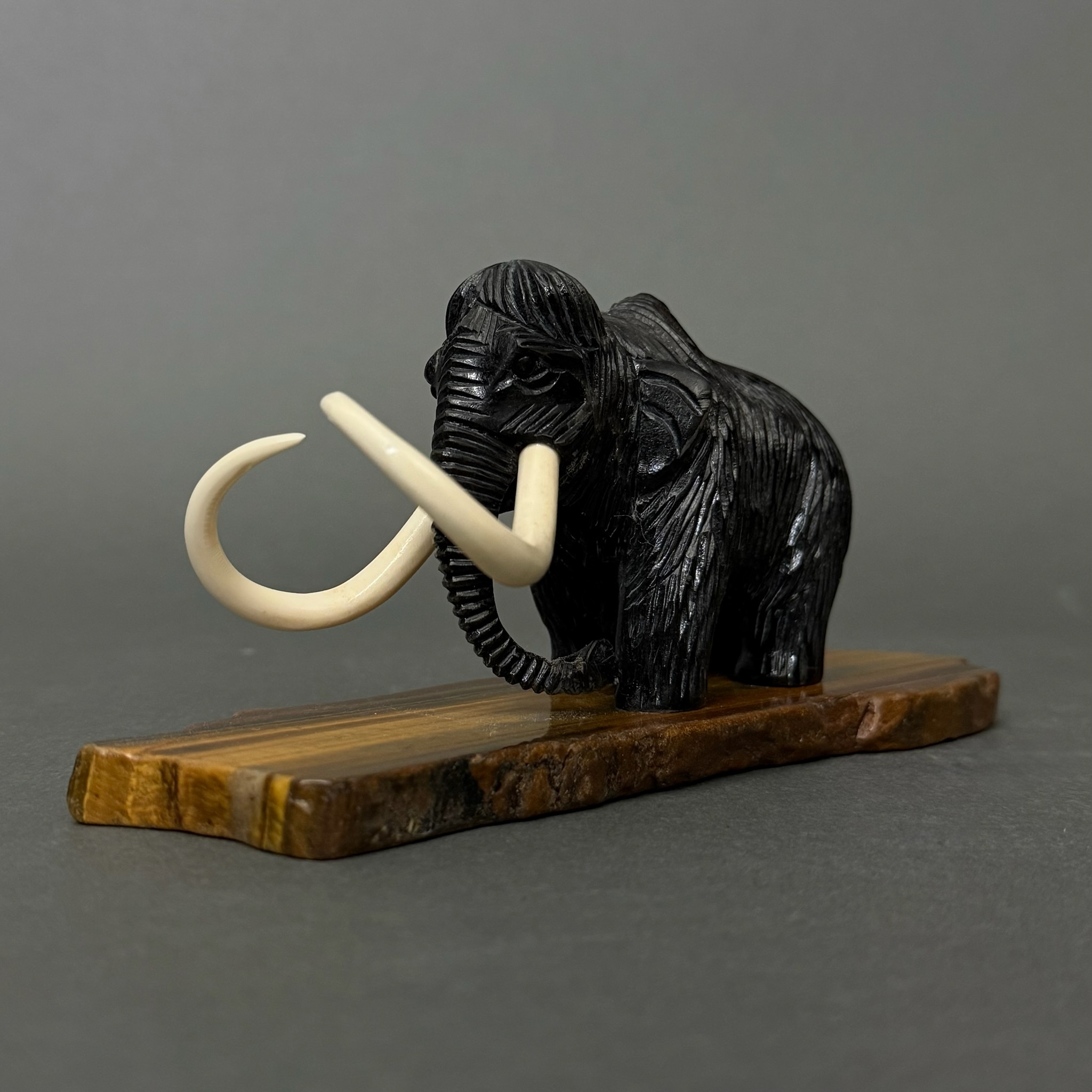 Walking Mammoth #228 - Fossil & Stone