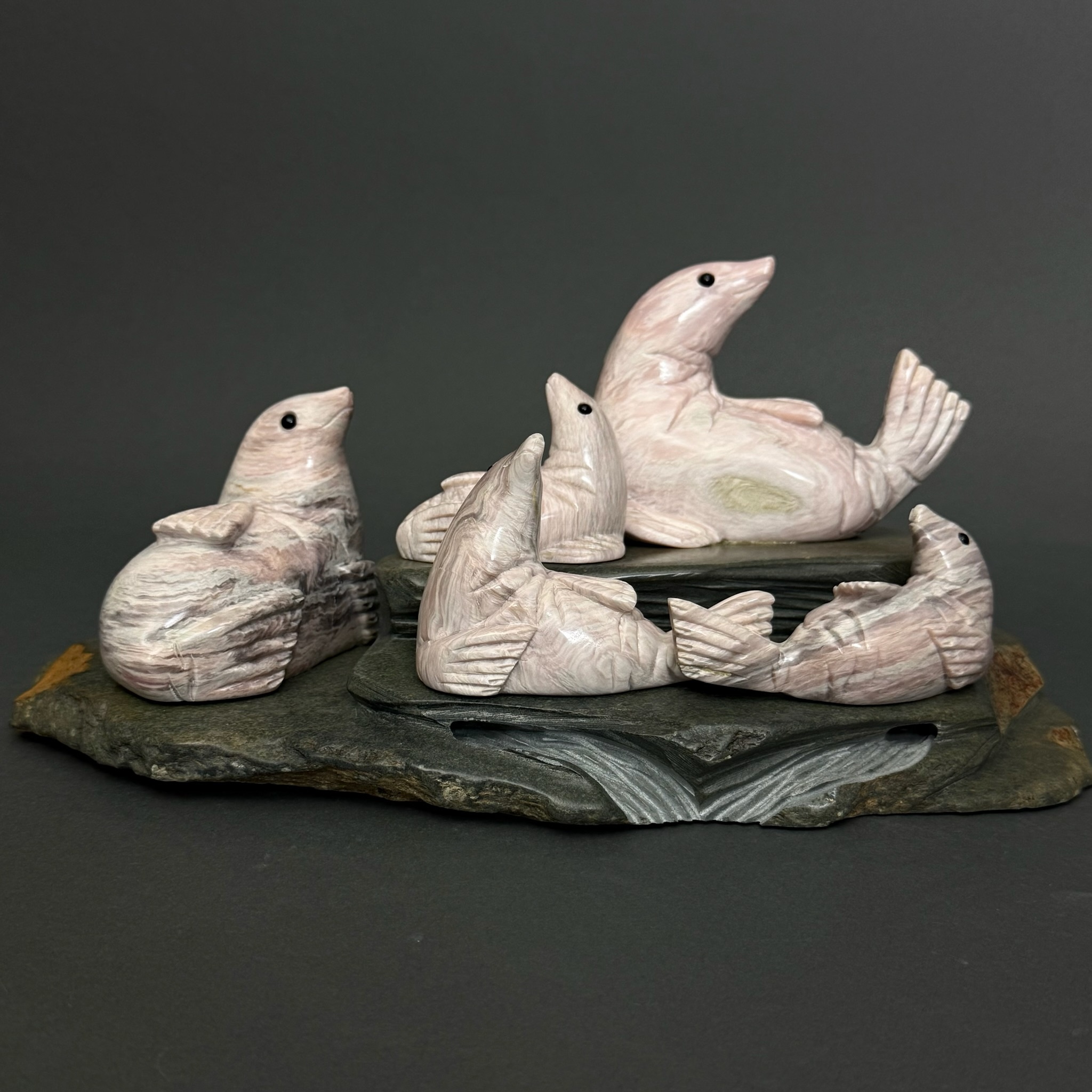 Seal Pod #260 - Fossil & Stone