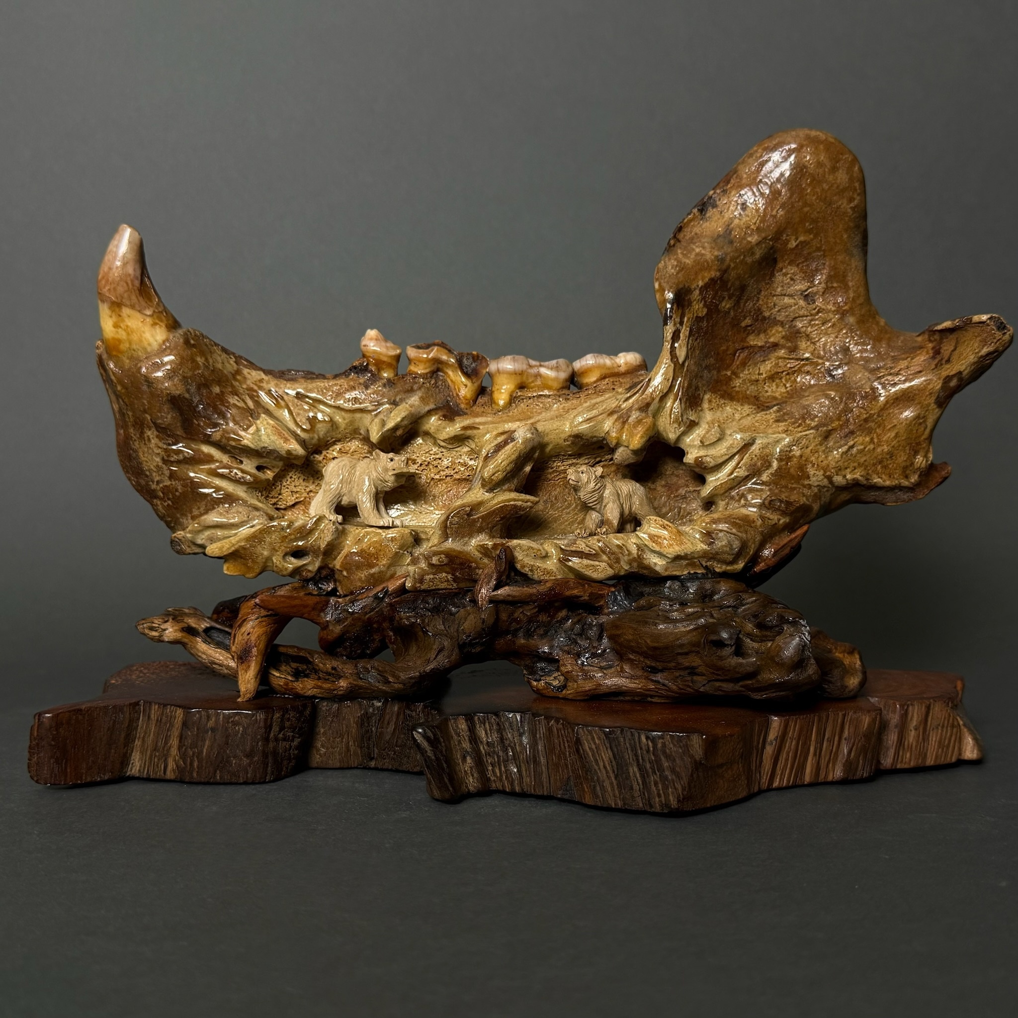 Bears on Fossil Cave Bear Jaw #073 - Fossil & Stone