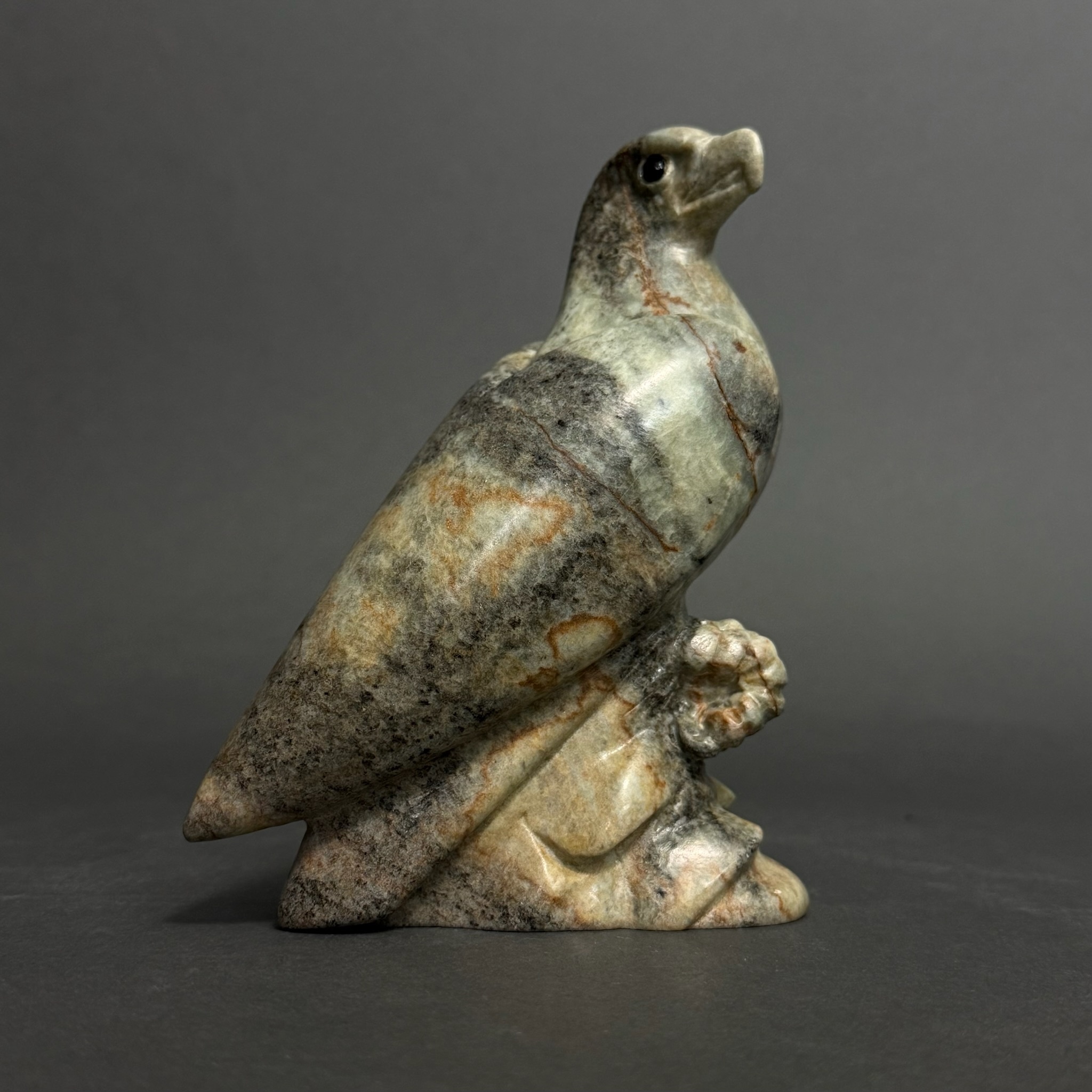 Eagle #293 - Fossil & Stone