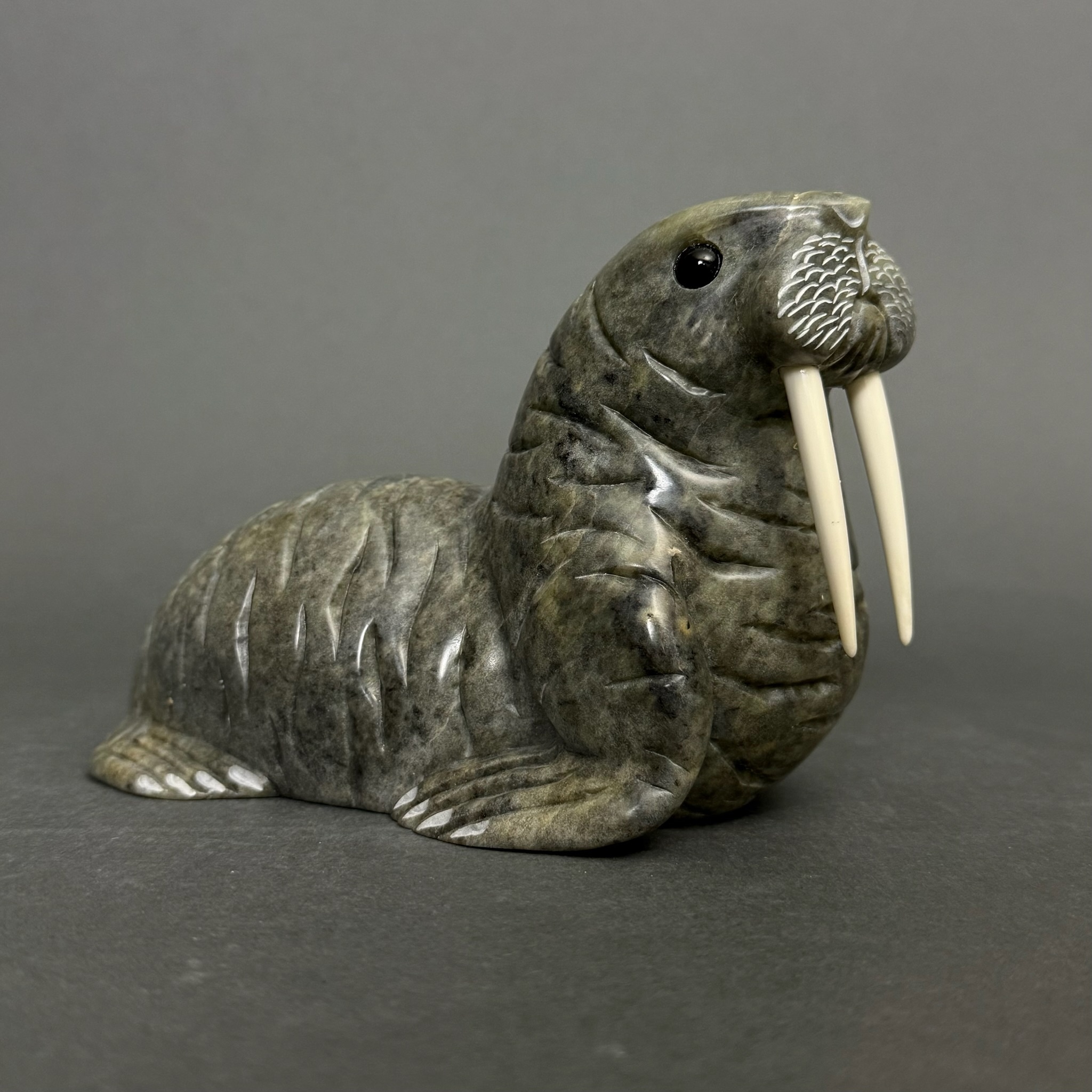 Sitting Walrus #281 - Fossil & Stone