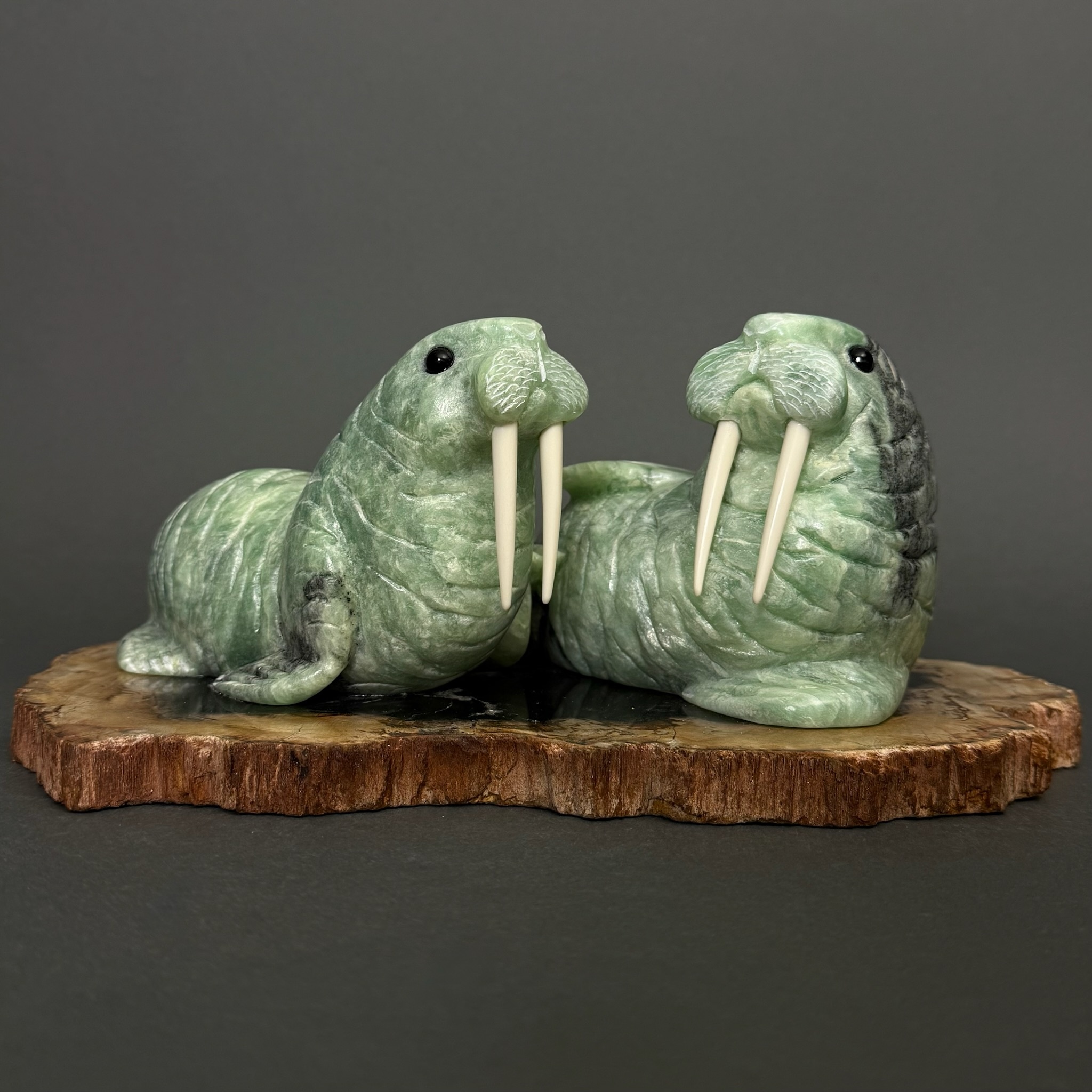Walrus Pair #280 - Fossil & Stone
