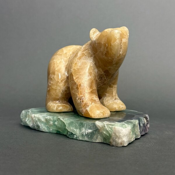 Bears - Fossil & Stone