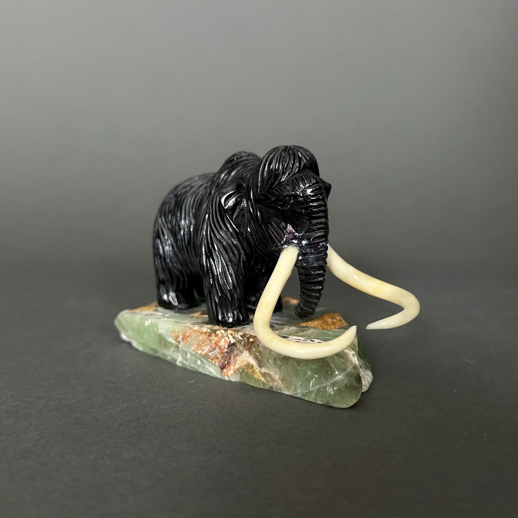 Walking Mammoth #349 - Fossil & Stone