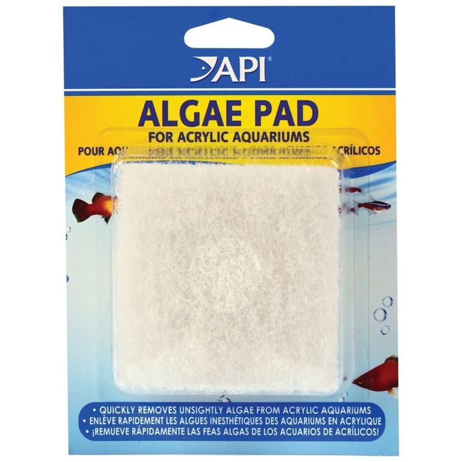 API ALGAE SCRAPER PAD ACRYLIC - The Hidden Reef, Inc