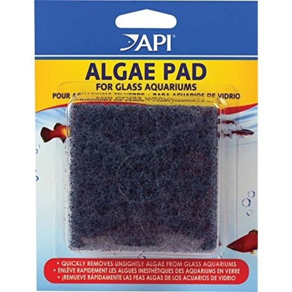 API ALGAE SCRAPER PAD GLASS - The Hidden Reef, Inc