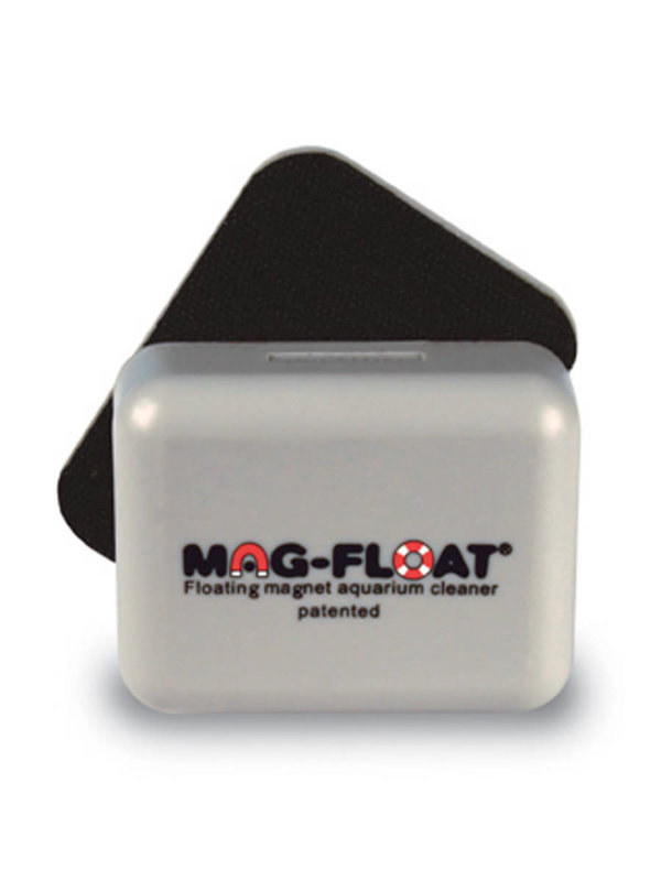 Gulfstream Tropical Aquarium - The Hidden Reef, Inc