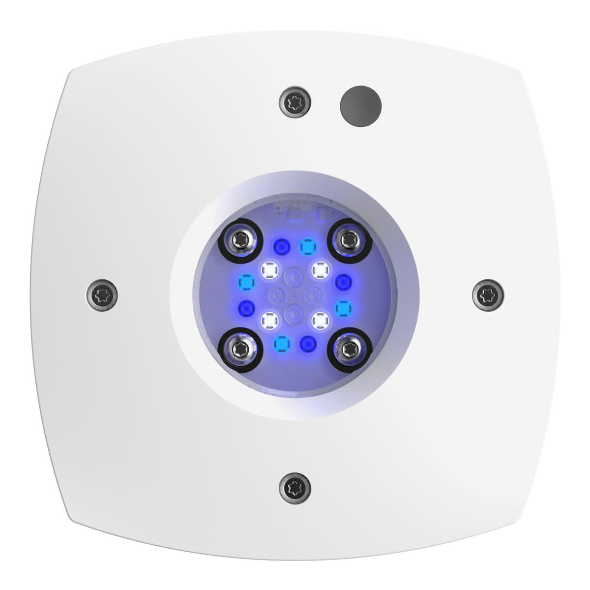 AI PRIME FIXTURE LED 16 SOL WHITE - The Hidden Reef, Inc