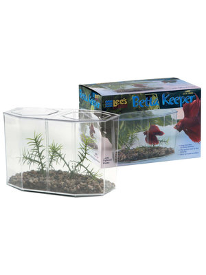 Aquarium - The Hidden Reef, Inc