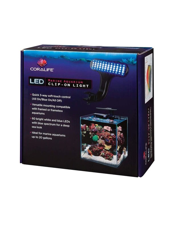 Lighting - The Hidden Reef, Inc