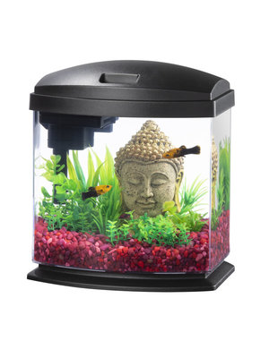 Aquarium - The Hidden Reef, Inc