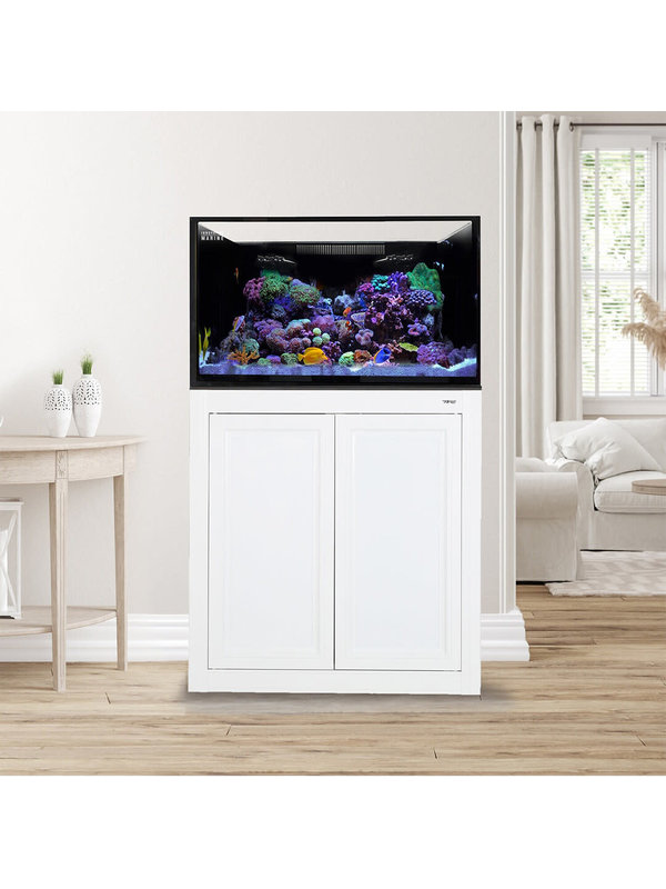 Aquarium - The Hidden Reef, Inc
