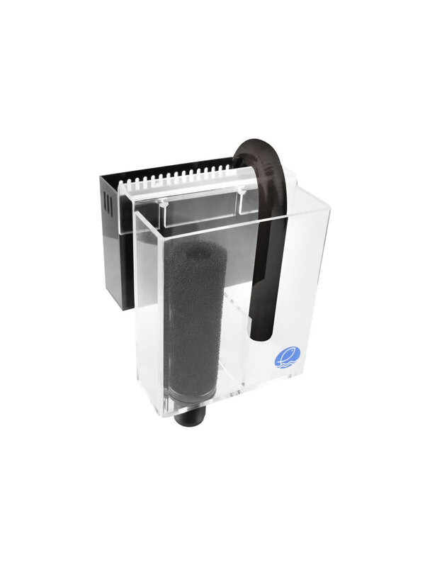 OVERFLOW BOXES - The Hidden Reef, Inc