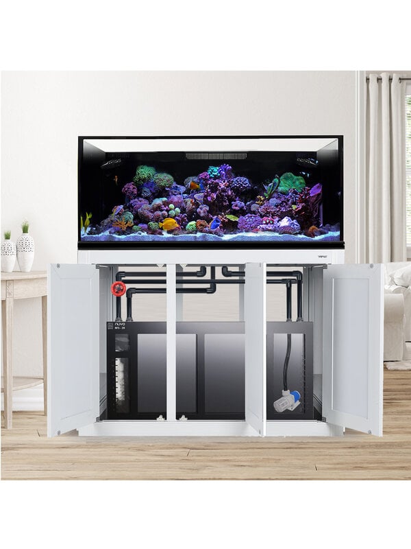 Aquarium - The Hidden Reef, Inc