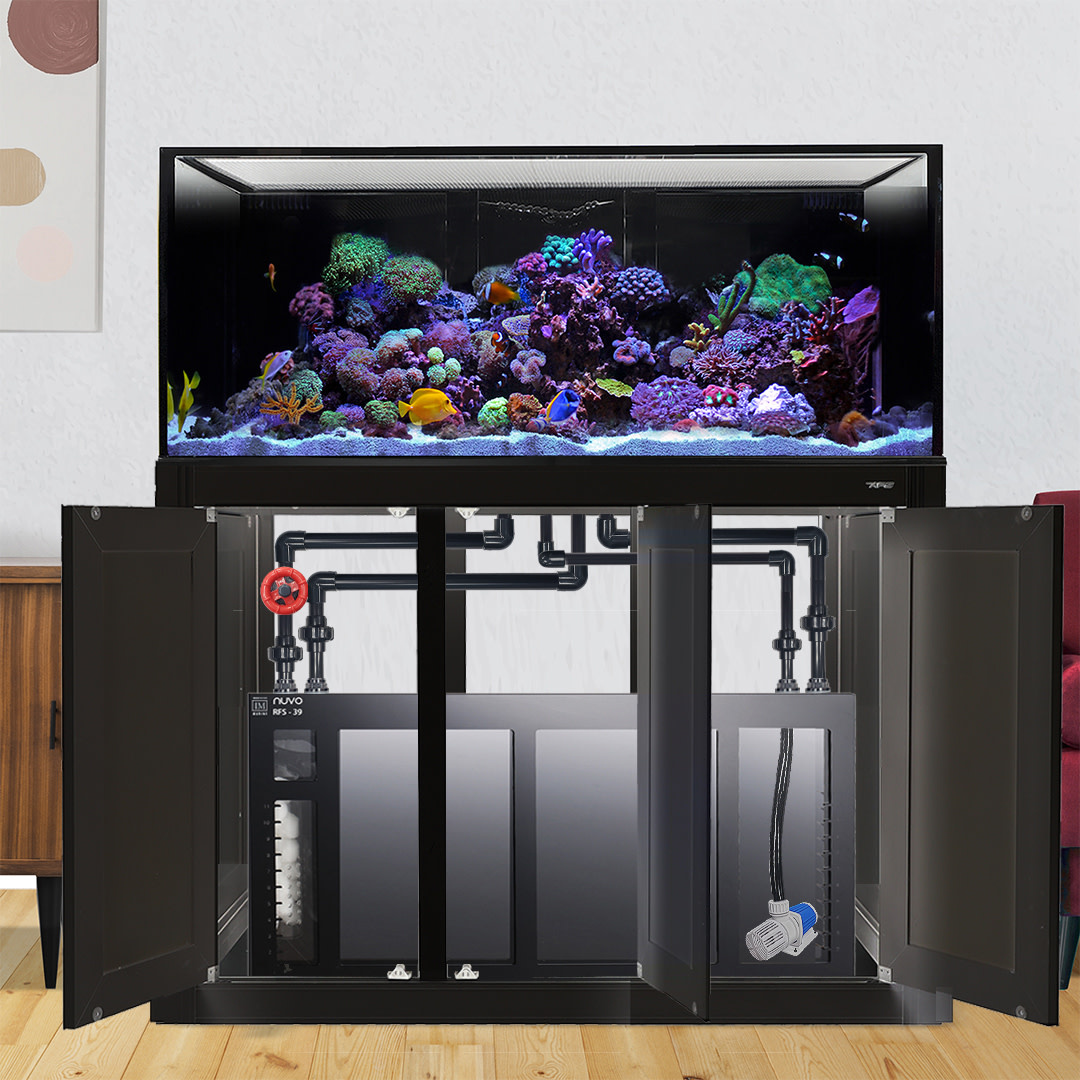 IM INT100 GALLON COMPLETE REEF SYSTEM BLACK - The Hidden Reef, Inc