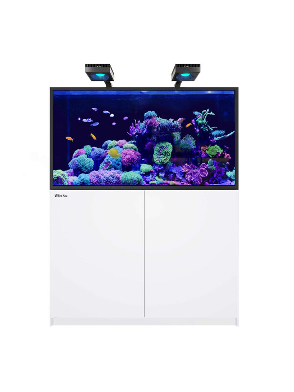 Aquarium - The Hidden Reef, Inc