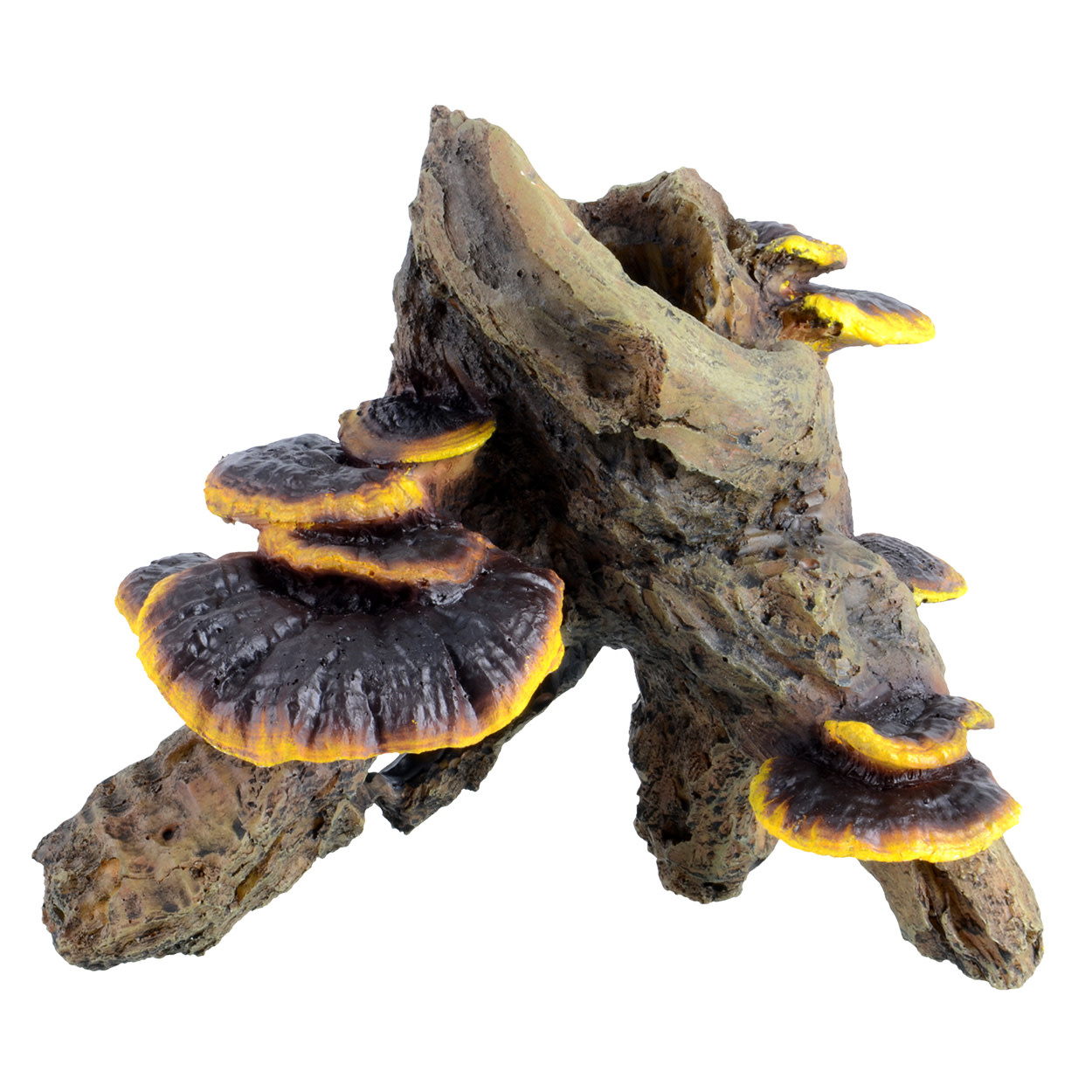 UT ROOT W MUSHROOM MEDIUM - The Hidden Reef, Inc