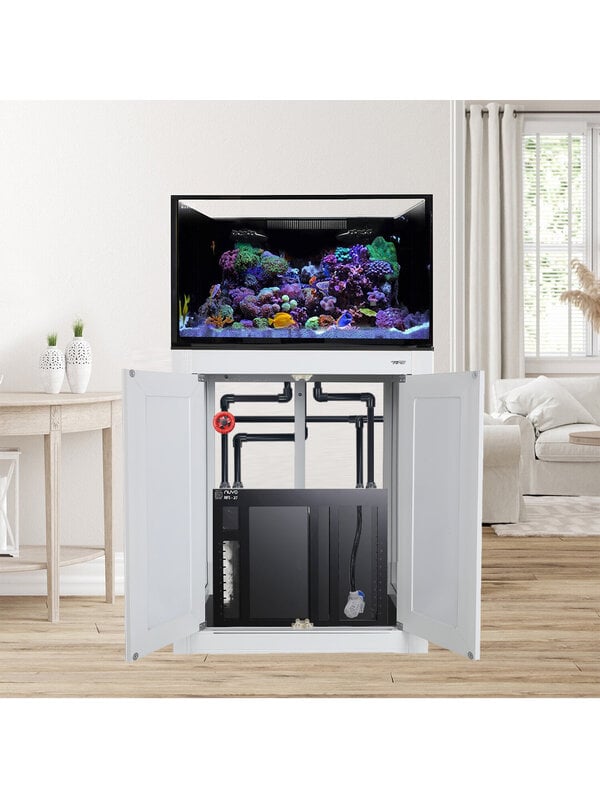 Aquarium - The Hidden Reef, Inc
