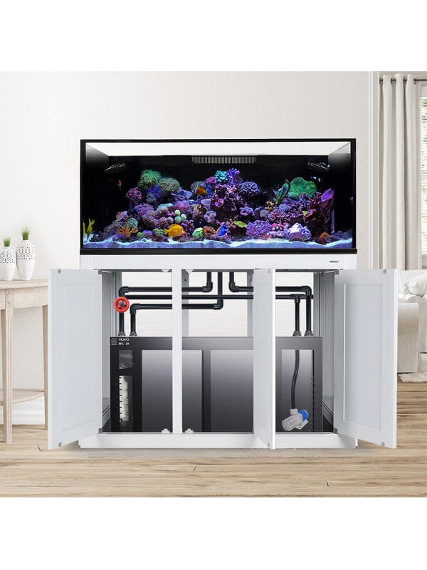 Aquarium - The Hidden Reef, Inc