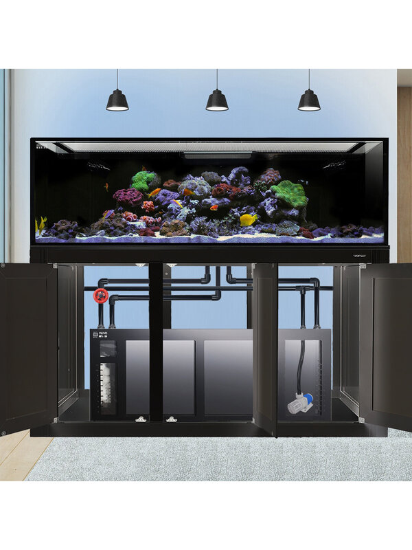 Aquarium - The Hidden Reef, Inc