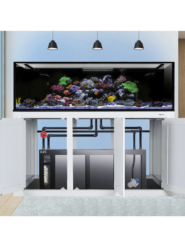 Aquarium - The Hidden Reef, Inc