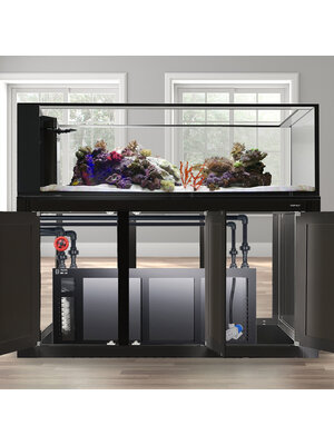 Aquarium - The Hidden Reef, Inc