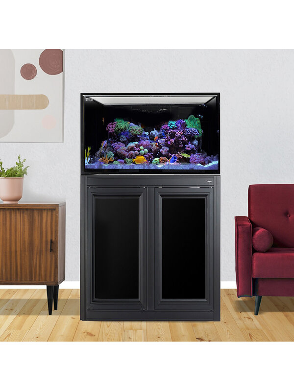 Aquarium - The Hidden Reef, Inc