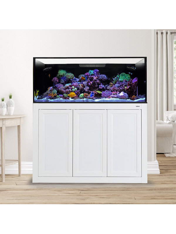 Aquarium - The Hidden Reef, Inc